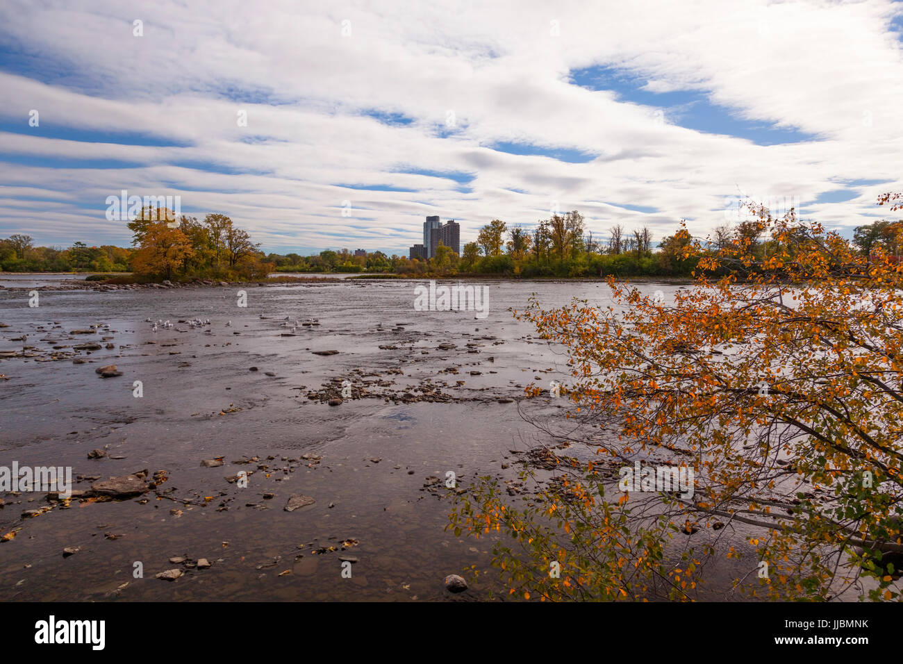 The Remic Rapids along the Ottawa River as seen from Bate Island in ...