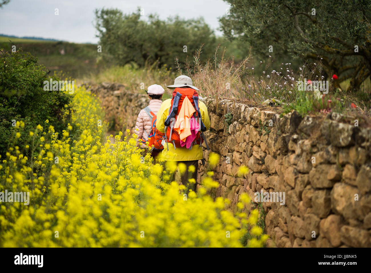 Pilgrims way spain cycle hi-res stock photography and images - Alamy