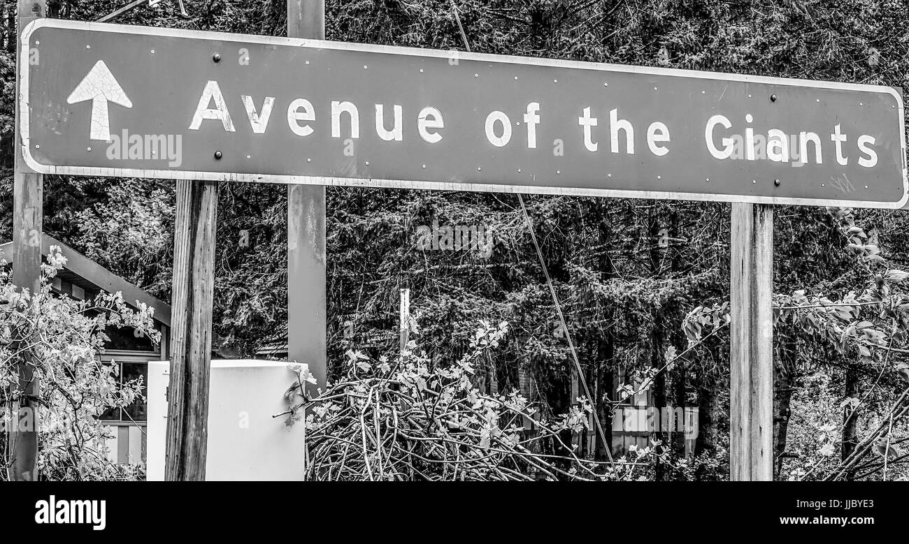 Street sign Avenue of the Giants in the Redwoods Stock Photo - Alamy