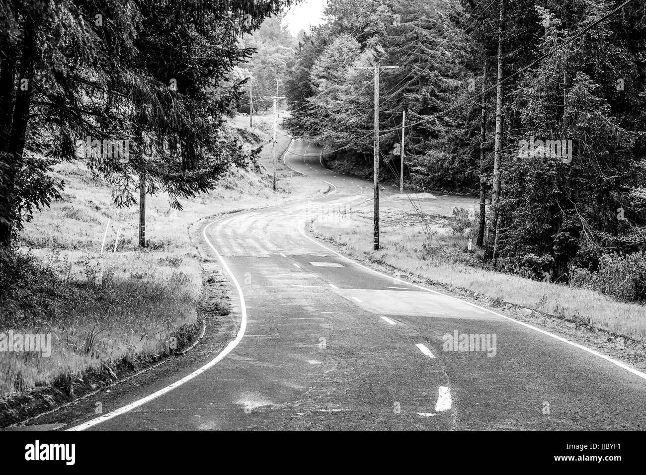 Winding Road through the woods of California Stock Photo - Alamy