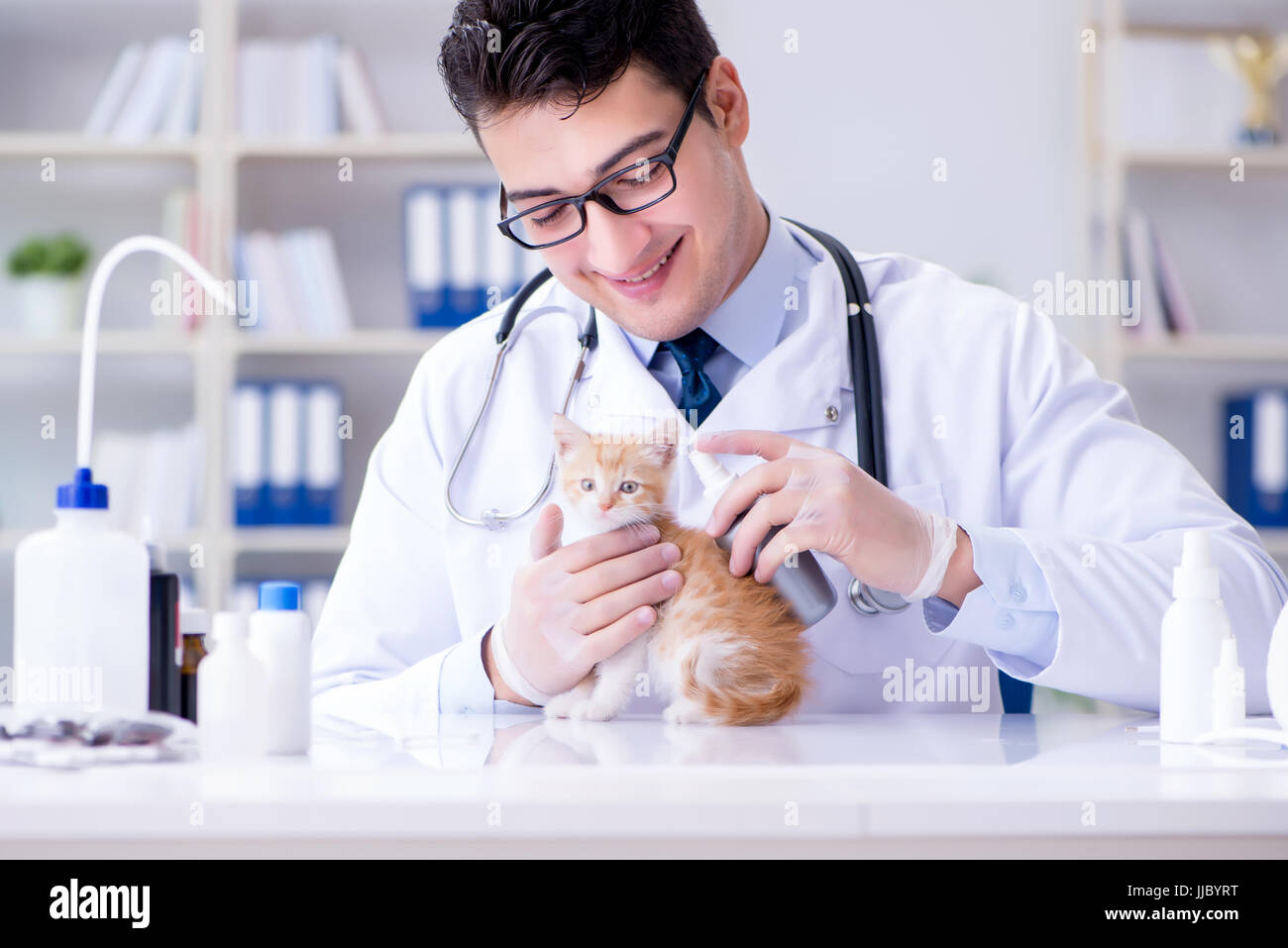 Cat visiting vet for regular check up Stock Photo - Alamy