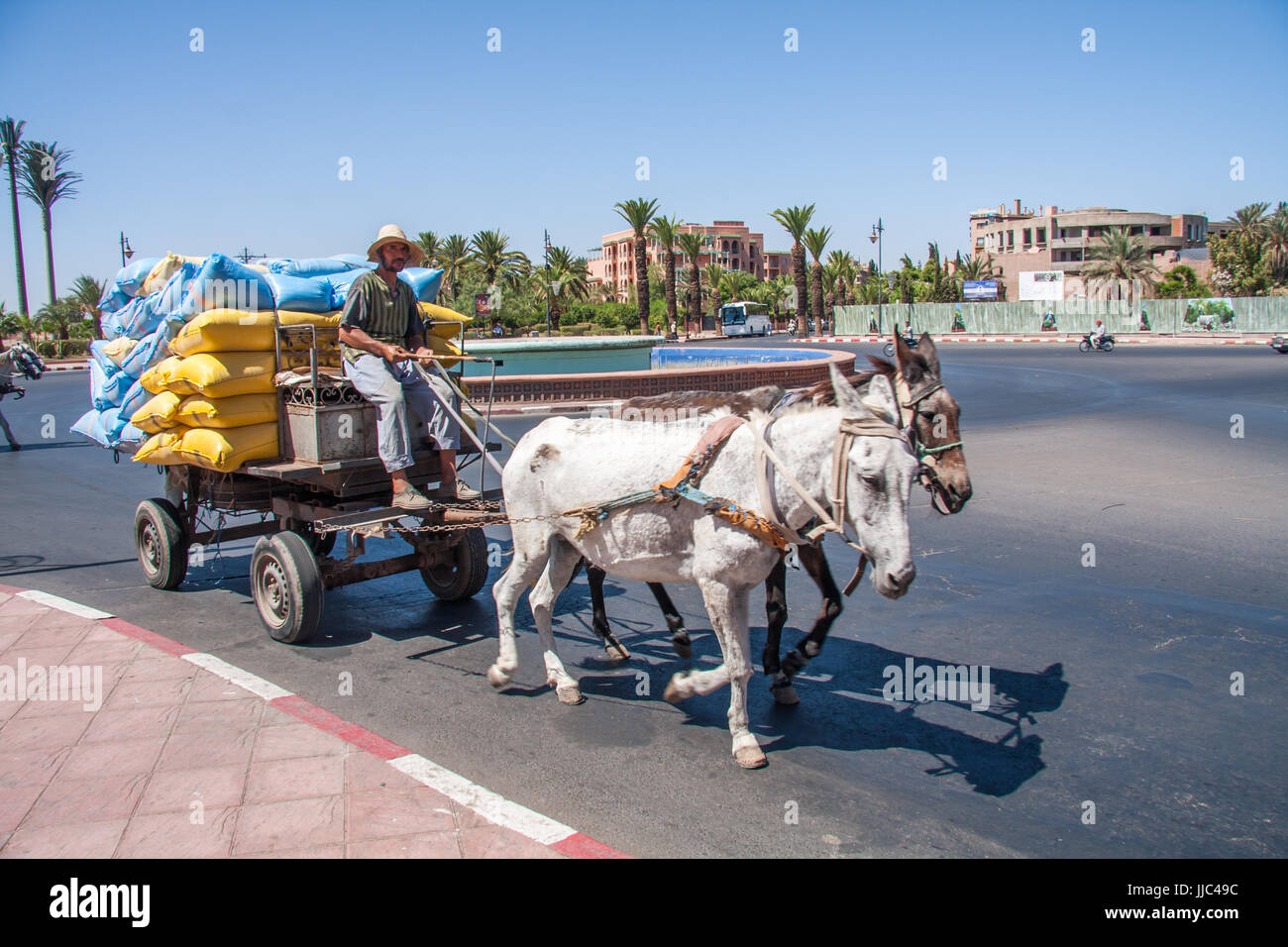 horse cart pony Marrakech, Marrakesh, Morocco, North Africa Stock Photo ...