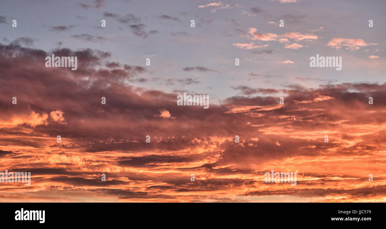Coral orange sunset clouds for background Stock Photo - Alamy