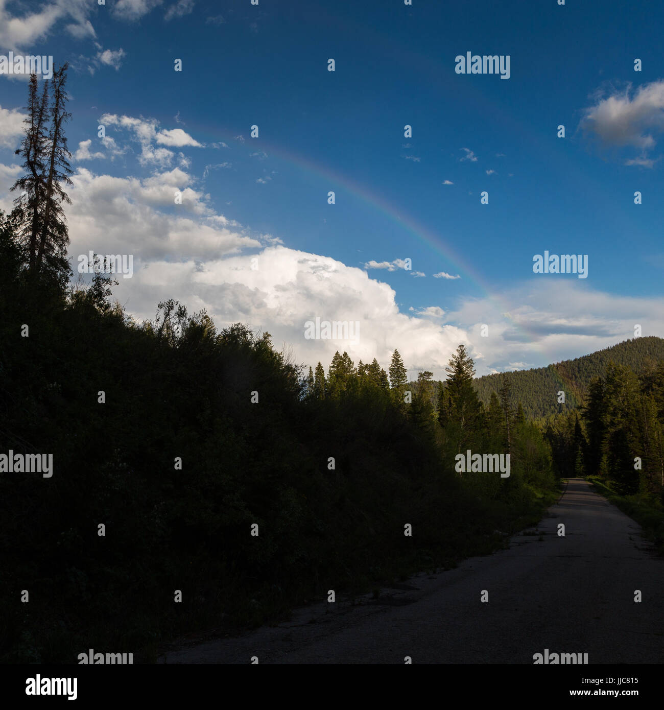 A double rainbow forming over the Old Pass Road Trail in the Teton ...