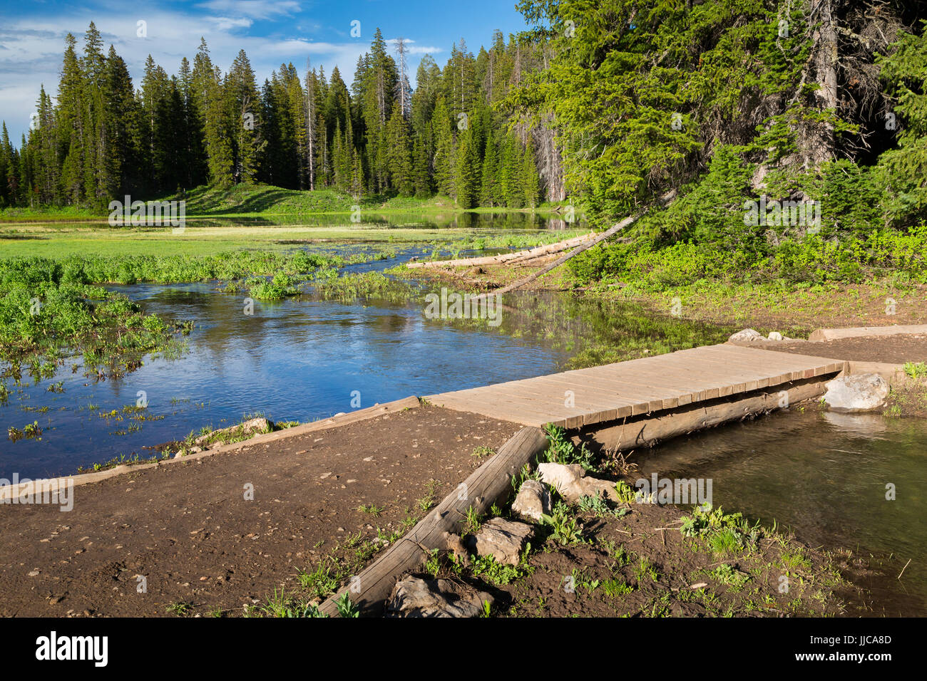A flooding snow melt stream passing below a footbridge along the Ski ...