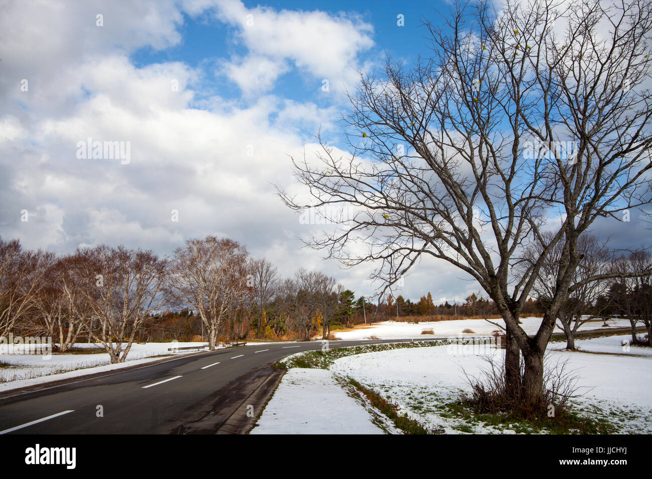 The aomori prefecture, Tohoku region, Japan with nice background Stock ...