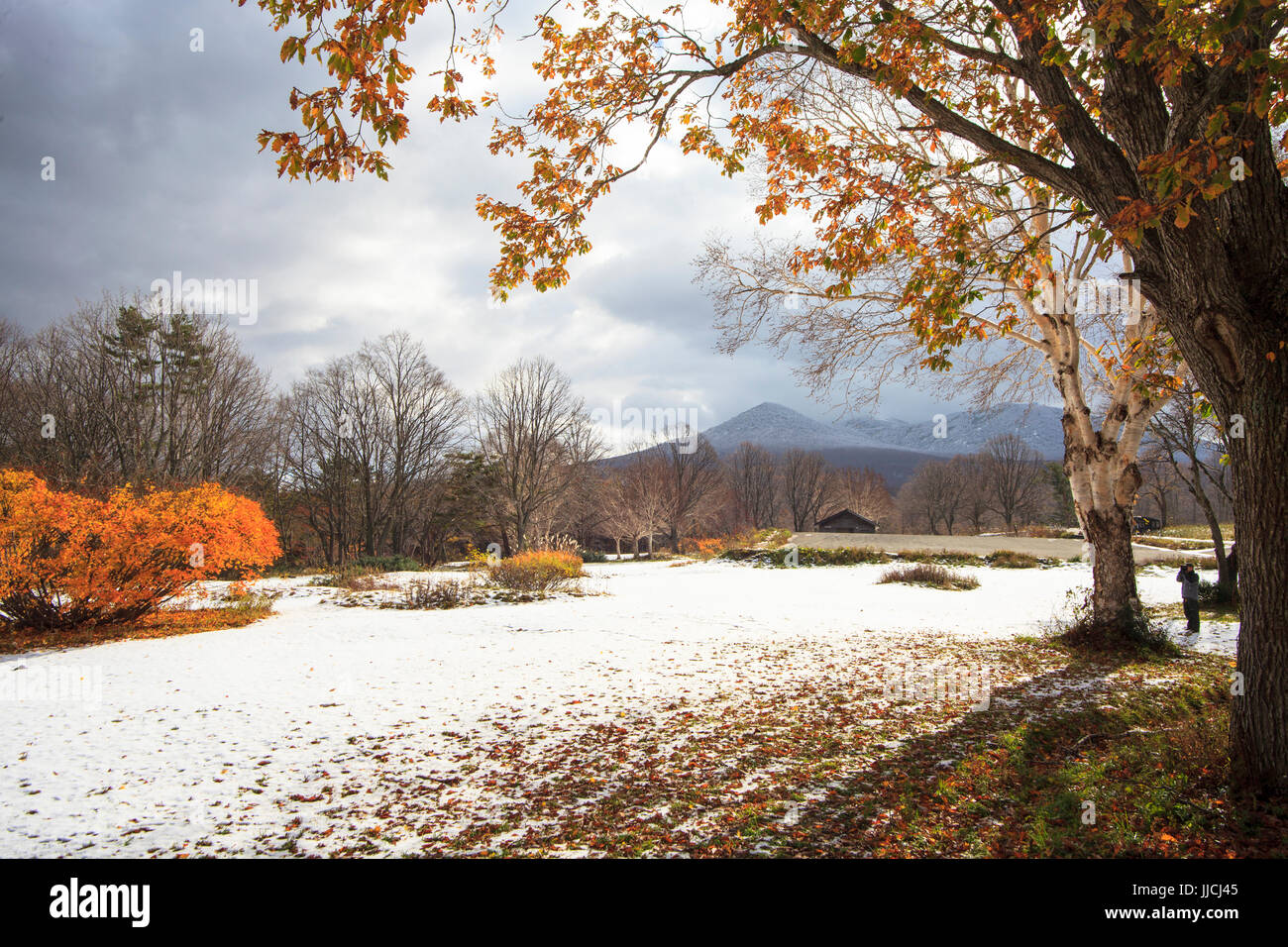 The aomori prefecture, Tohoku region, Japan with nice background Stock ...
