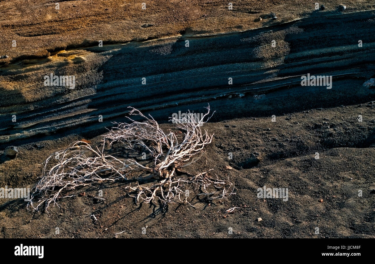 Soil skeleton hi-res stock photography and images - Alamy