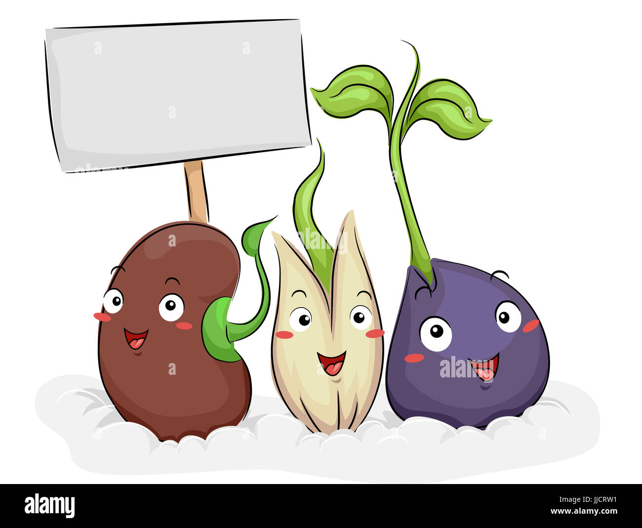 Seed Germination Animation