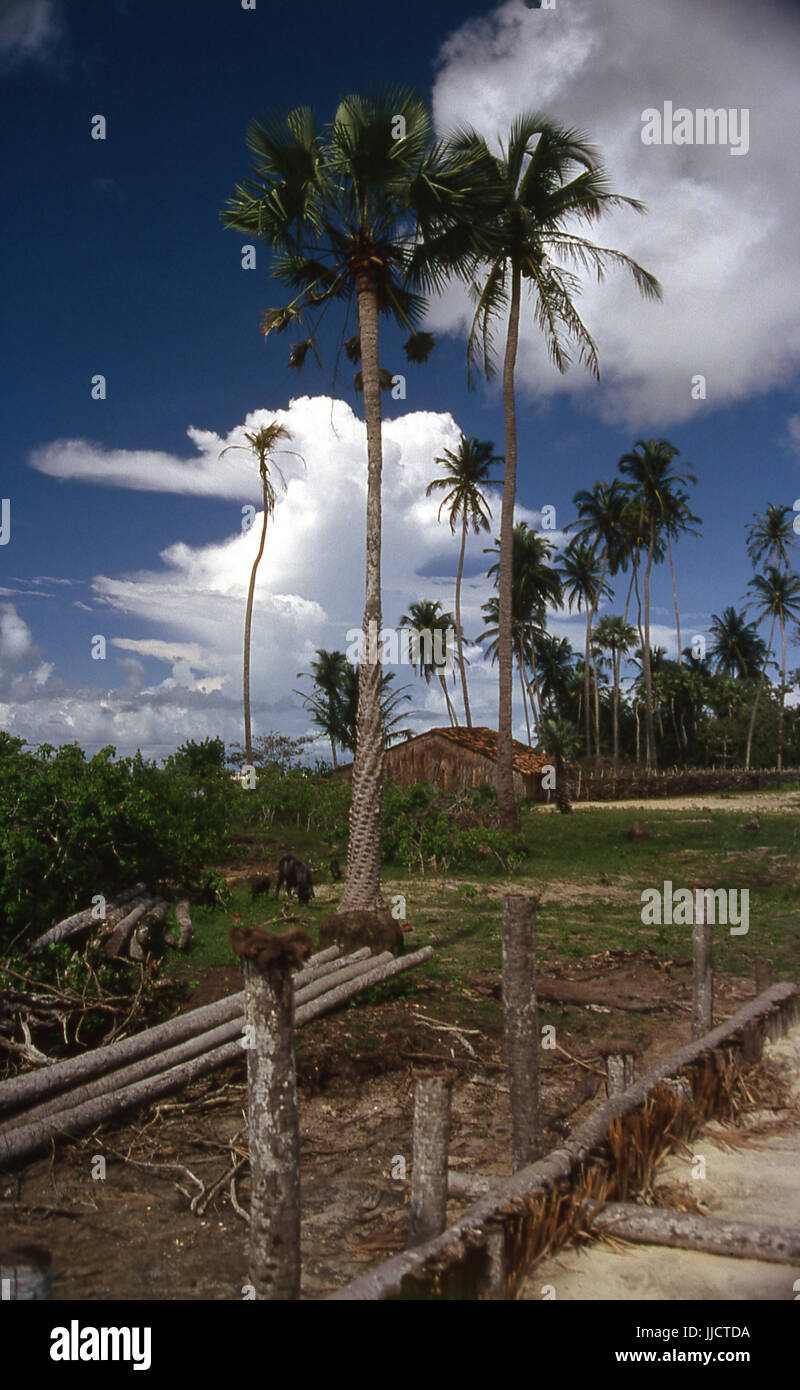 City of guriú, Camocim, Ceará, Brazil Stock Photo - Alamy