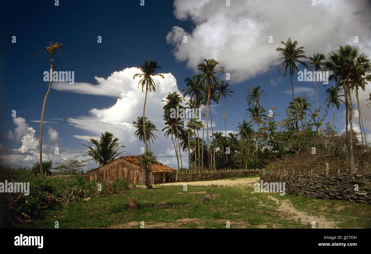 City of guriú, Camocim, Ceará, Brazil Stock Photo - Alamy