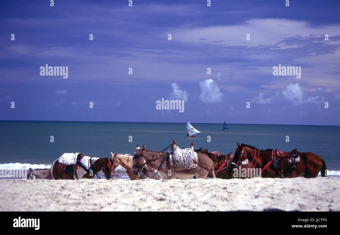 Cumbuco Beach, Ceará, Brazil Stock Photo - Alamy