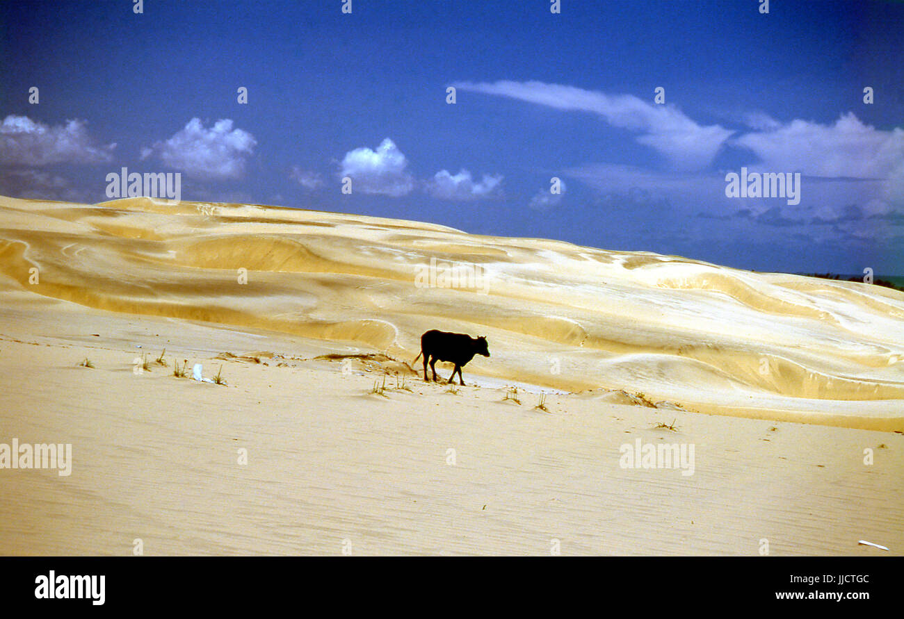 Dunas de cumbuco hi-res stock photography and images - Alamy
