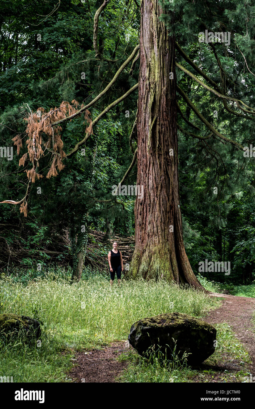 German National Park hiking girl on the trail beside a huge old mammoth ...