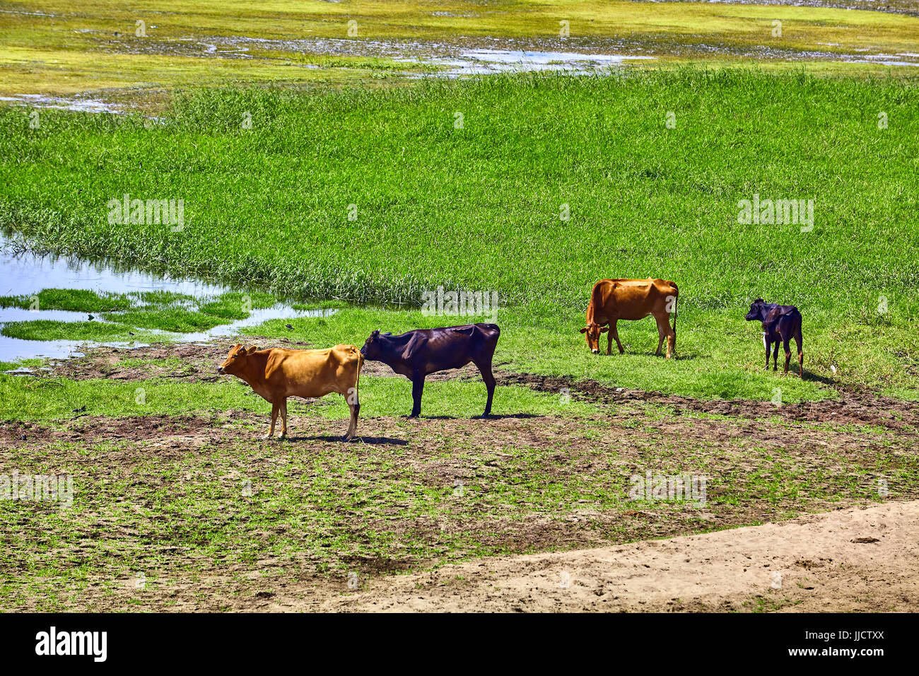 Nile river valley map hi-res stock photography and images - Alamy