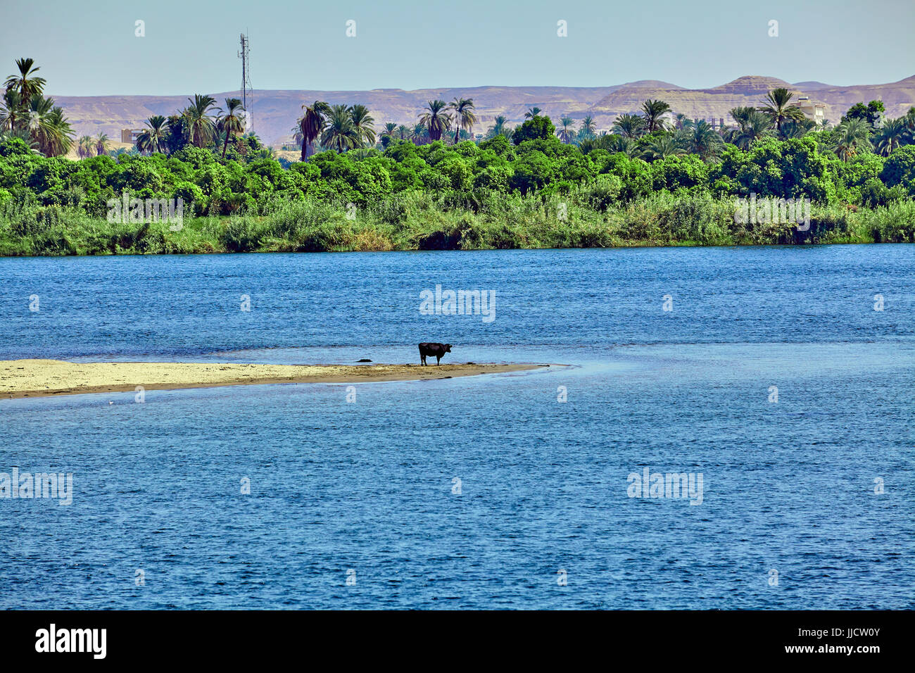 River Nile in Egypt. beautiful landscape Stock Photo - Alamy