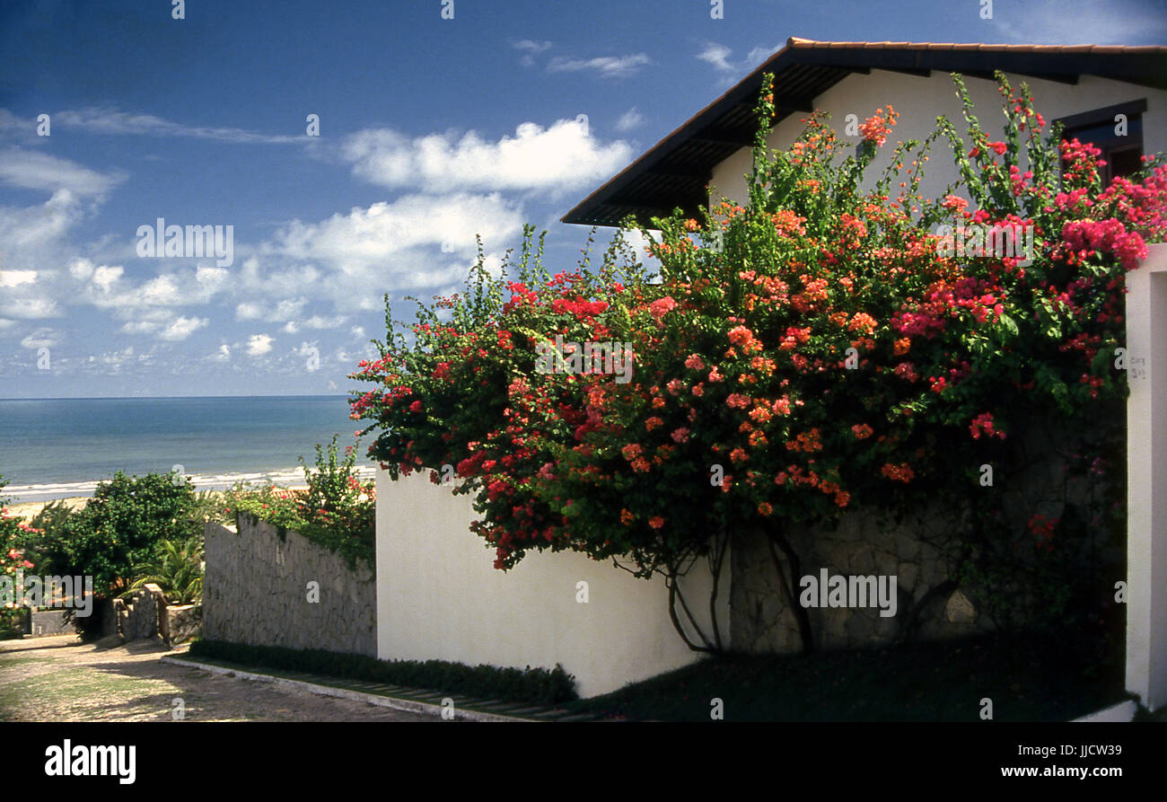 Porto das Dunas Beach, Ceará, Brazil Stock Photo - Alamy