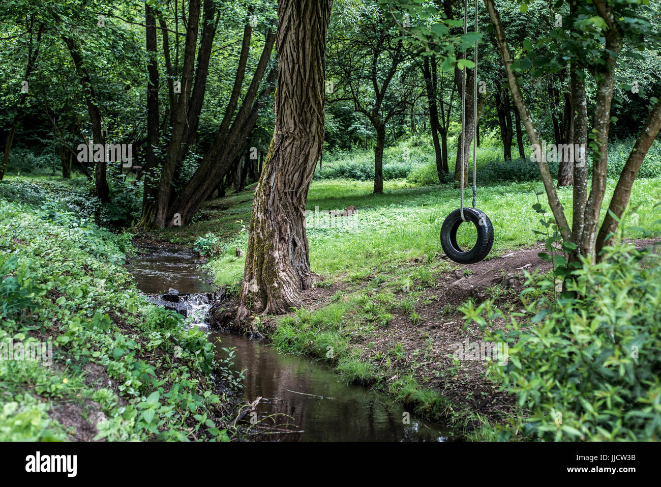Tire swing tree hi-res stock photography and images - Alamy