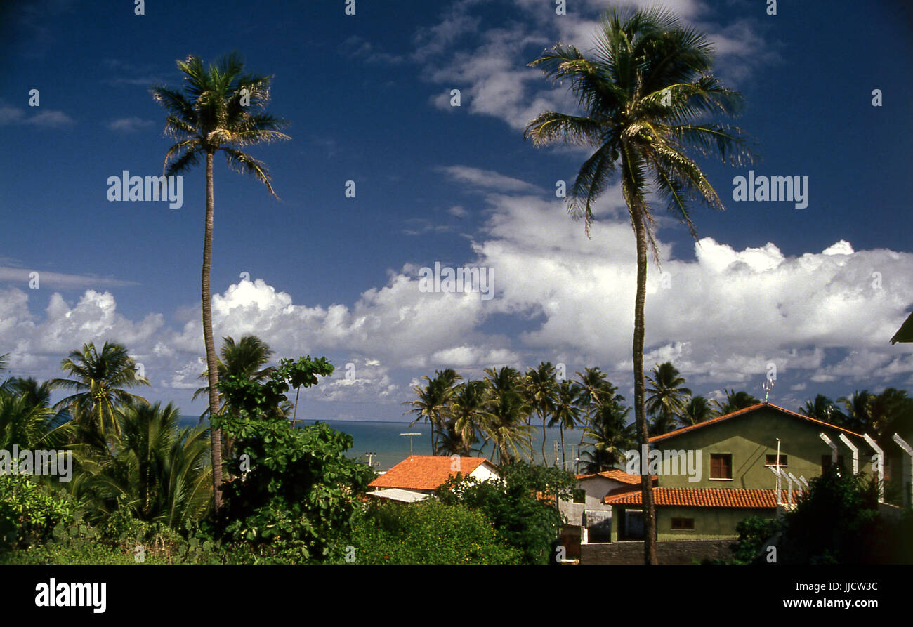 Porto das Dunas Beach, Ceará, Brazil Stock Photo - Alamy