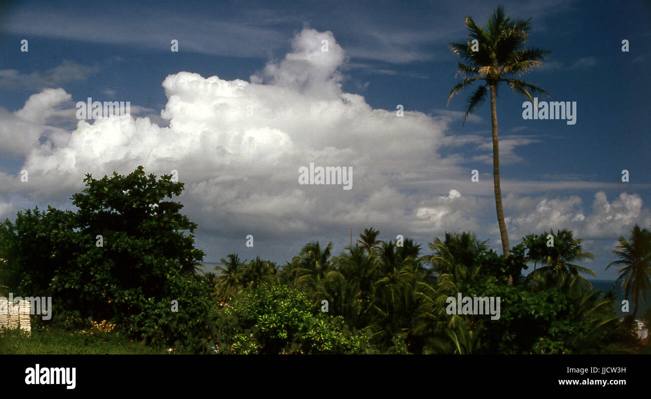 Porto das Dunas Beach, Ceará, Brazil Stock Photo - Alamy