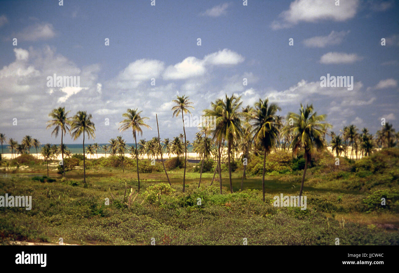 Porto das Dunas Beach, Ceará, Brazil Stock Photo - Alamy