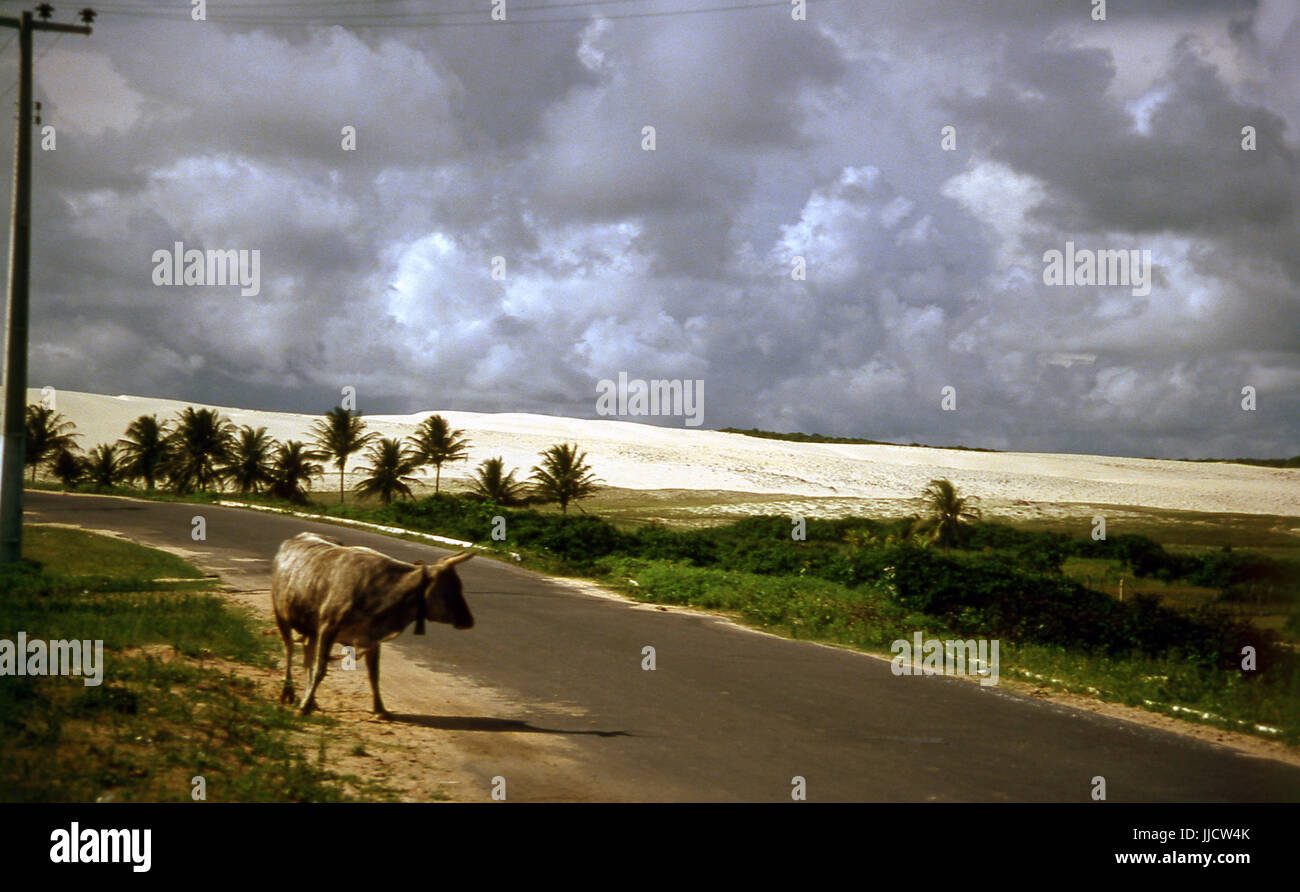 Porto das Dunas Beach, Ceará, Brazil Stock Photo - Alamy