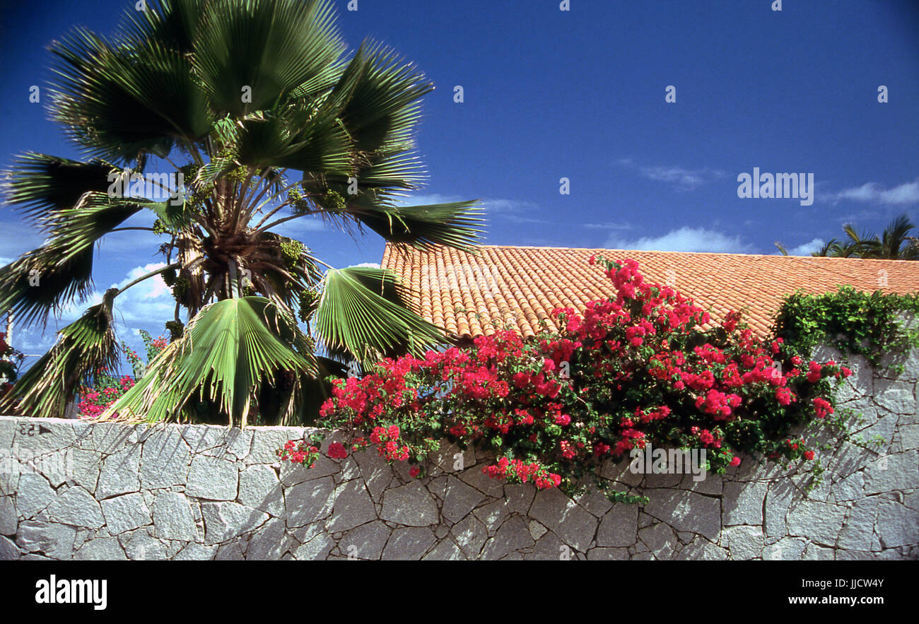 Porto das Dunas Beach, Ceará, Brazil Stock Photo - Alamy