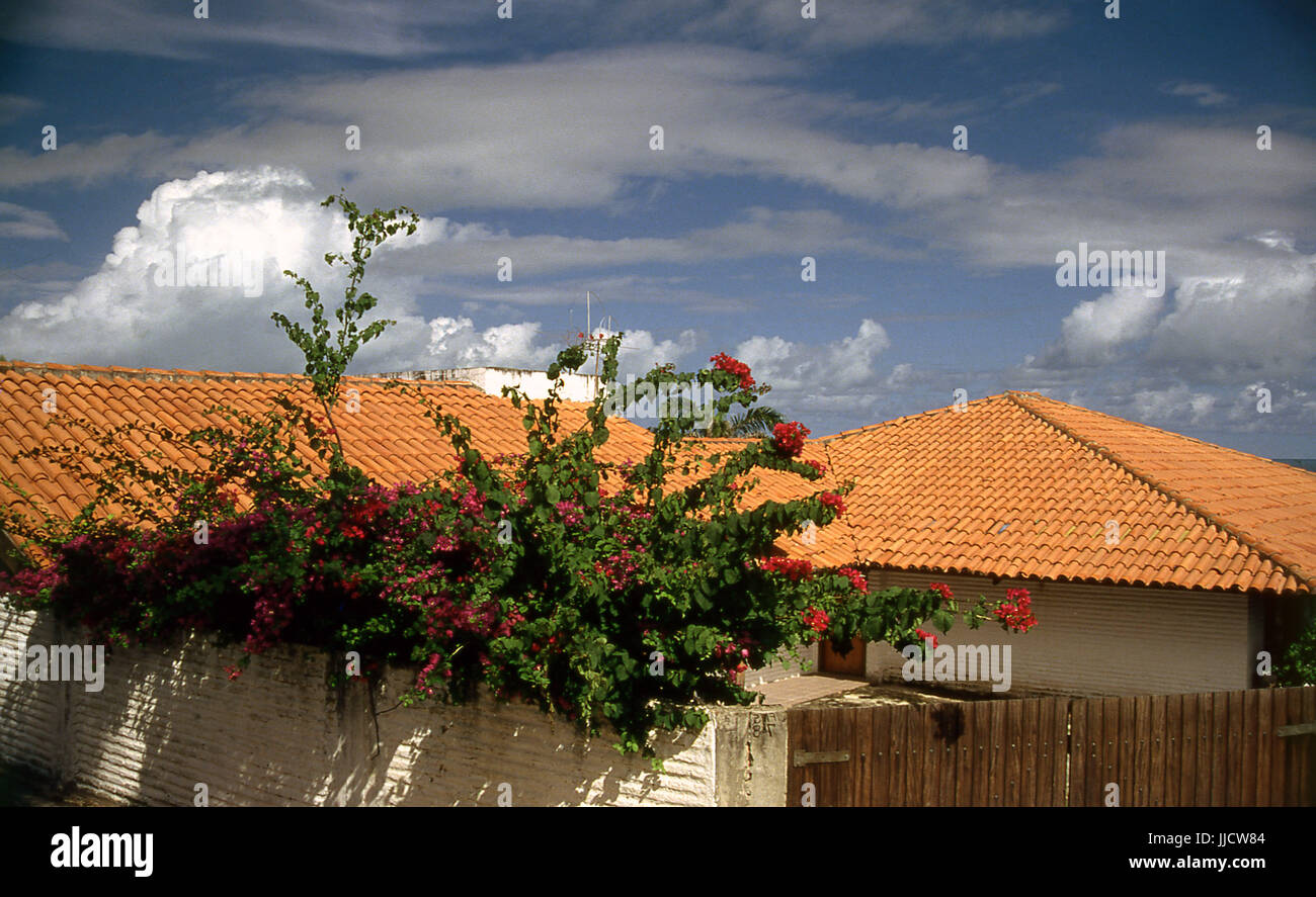 Porto das Dunas Beach, Ceará, Brazil Stock Photo - Alamy
