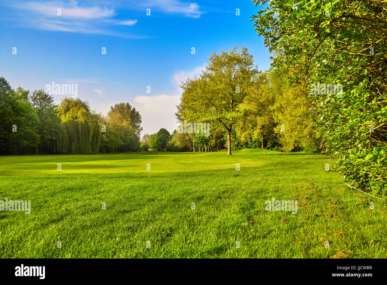 green grass field meadow. landscape panorama Stock Photo - Alamy