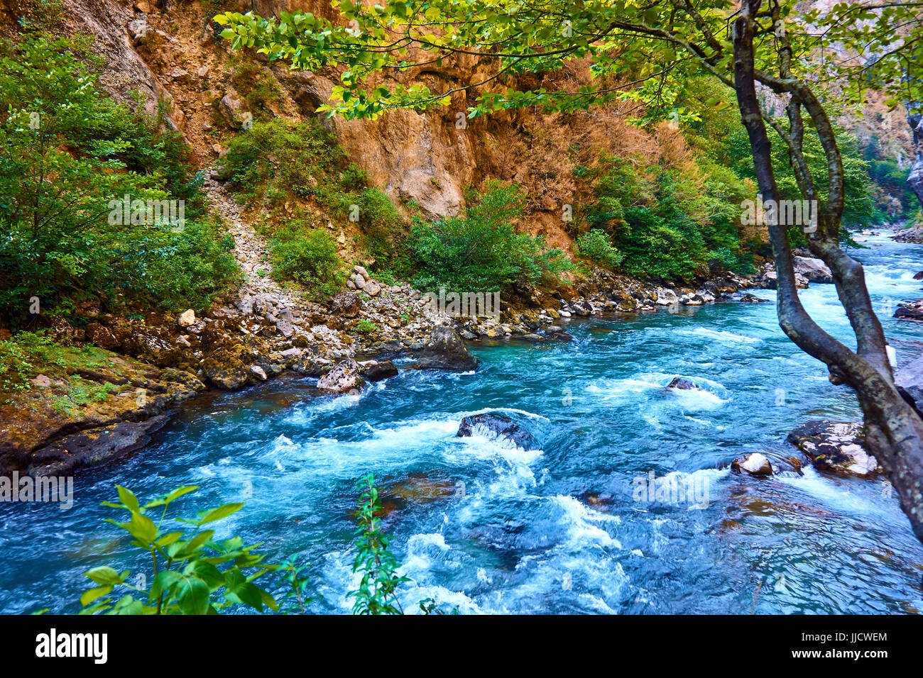 landscape with mountains, forest and a river. Mountain nature landscape ...
