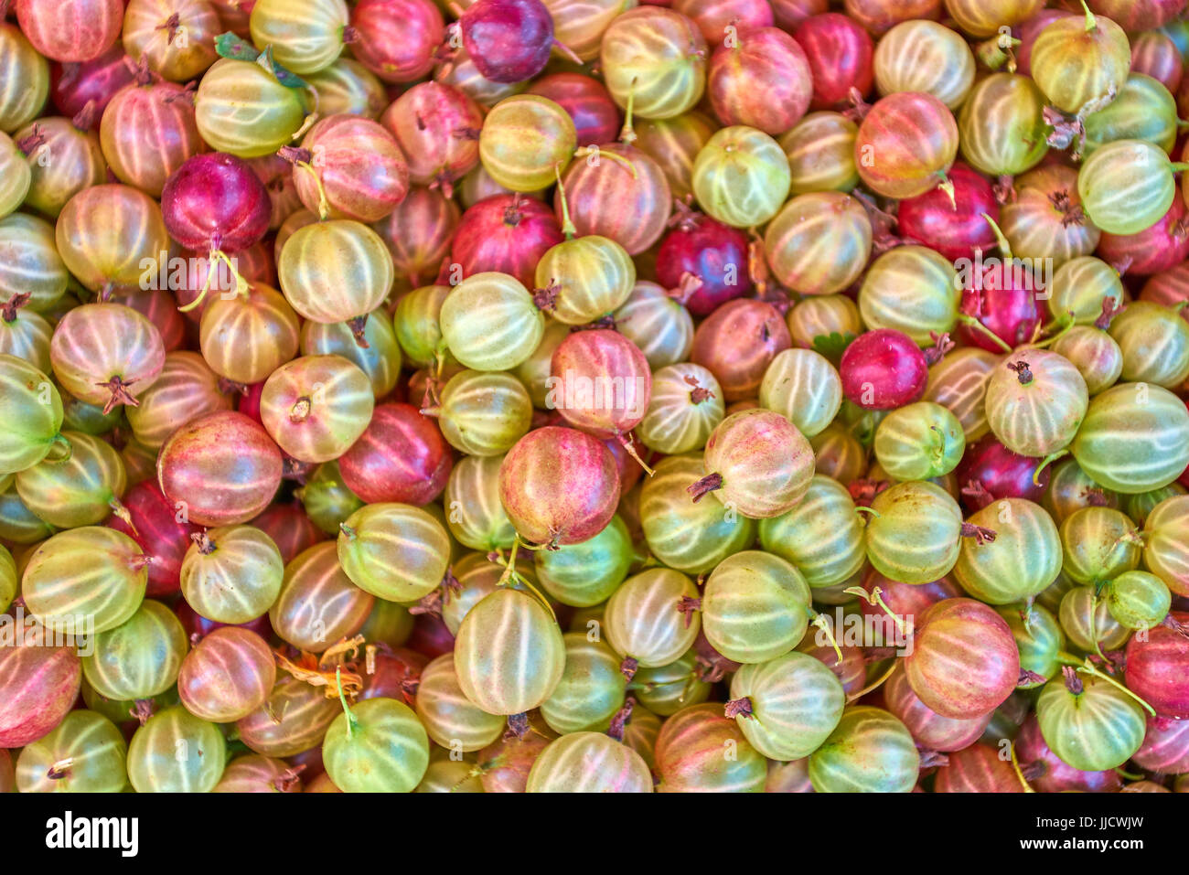 Gooseberry fruits close-up background. Ripe gooseberry Stock Photo - Alamy