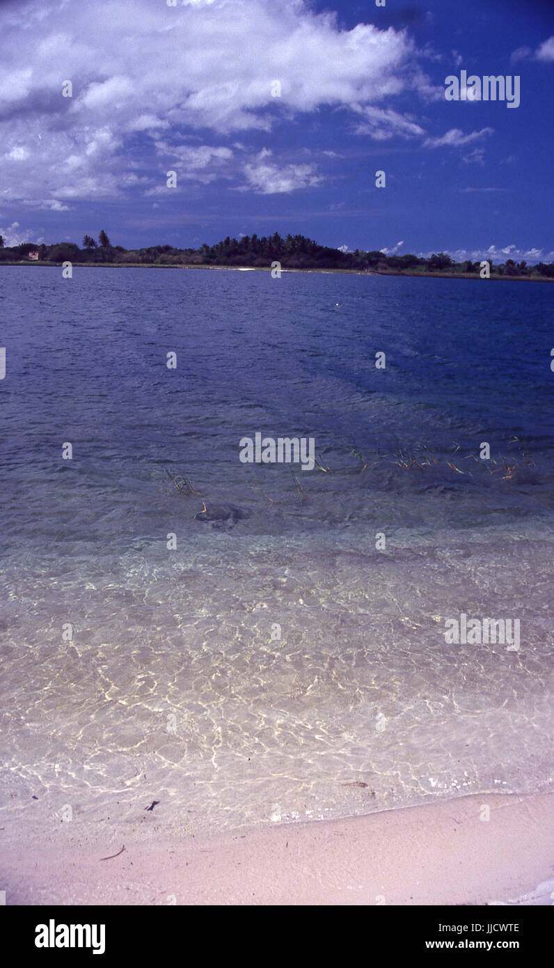 Lagoa Azul, Jericoacoara, Ceará, Brazil Stock Photo - Alamy