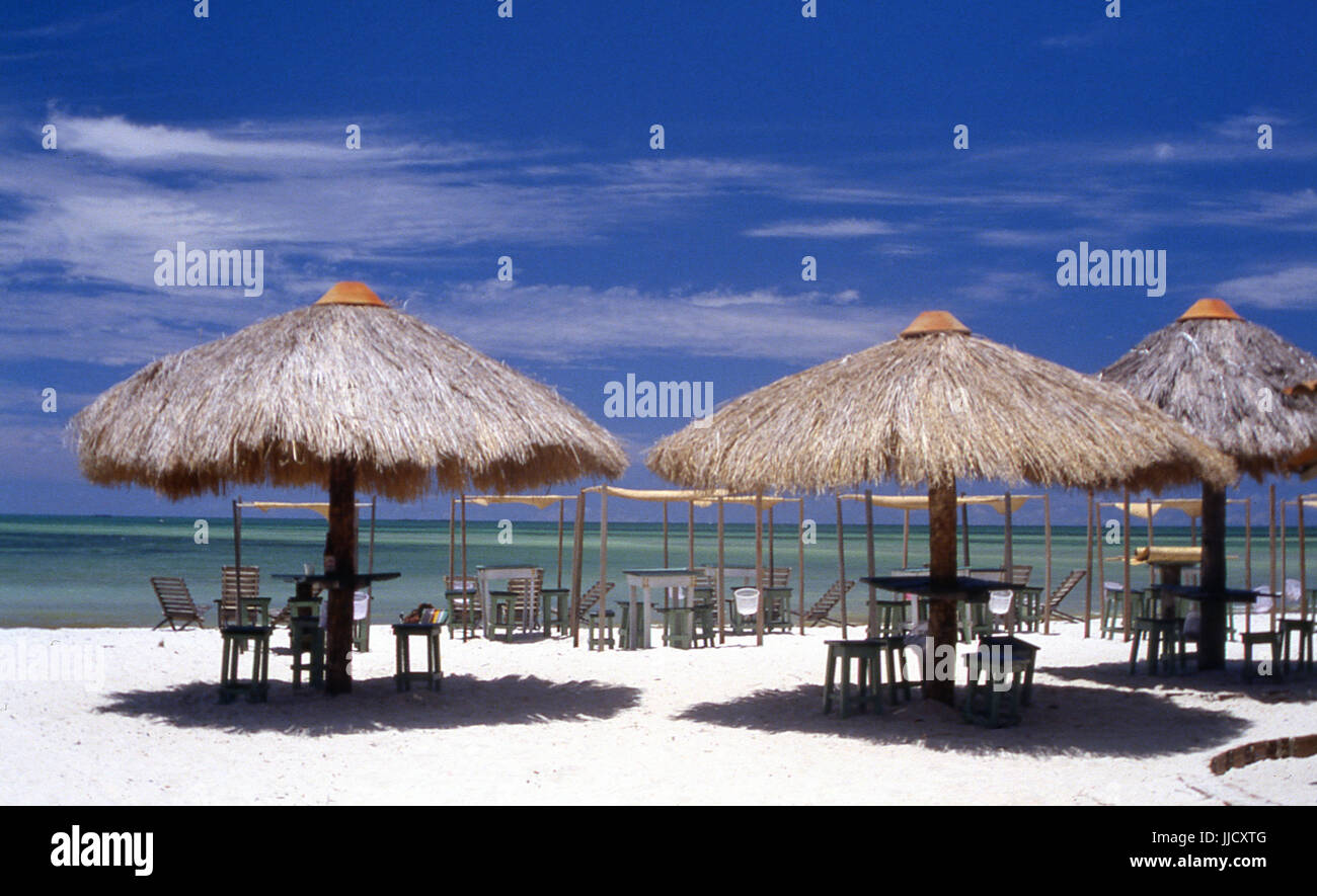 Beach; Itamaraca; Pernambuco; Brazil Stock Photo - Alamy