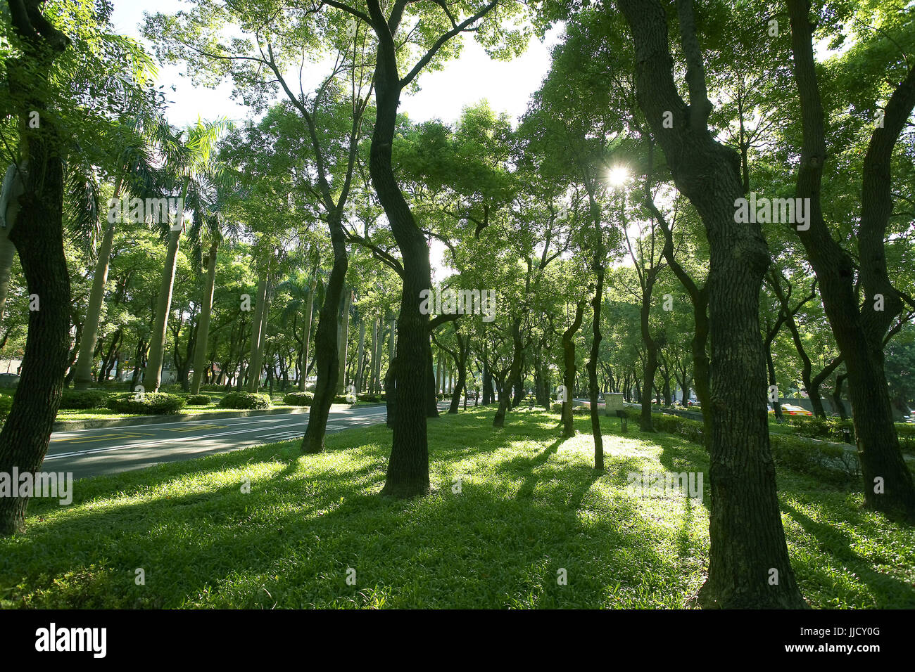 Renai road hi-res stock photography and images - Alamy