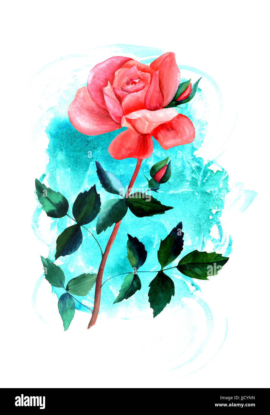 Watercolor rose drawing on turquoise blue brush stroke Stock Photo - Alamy