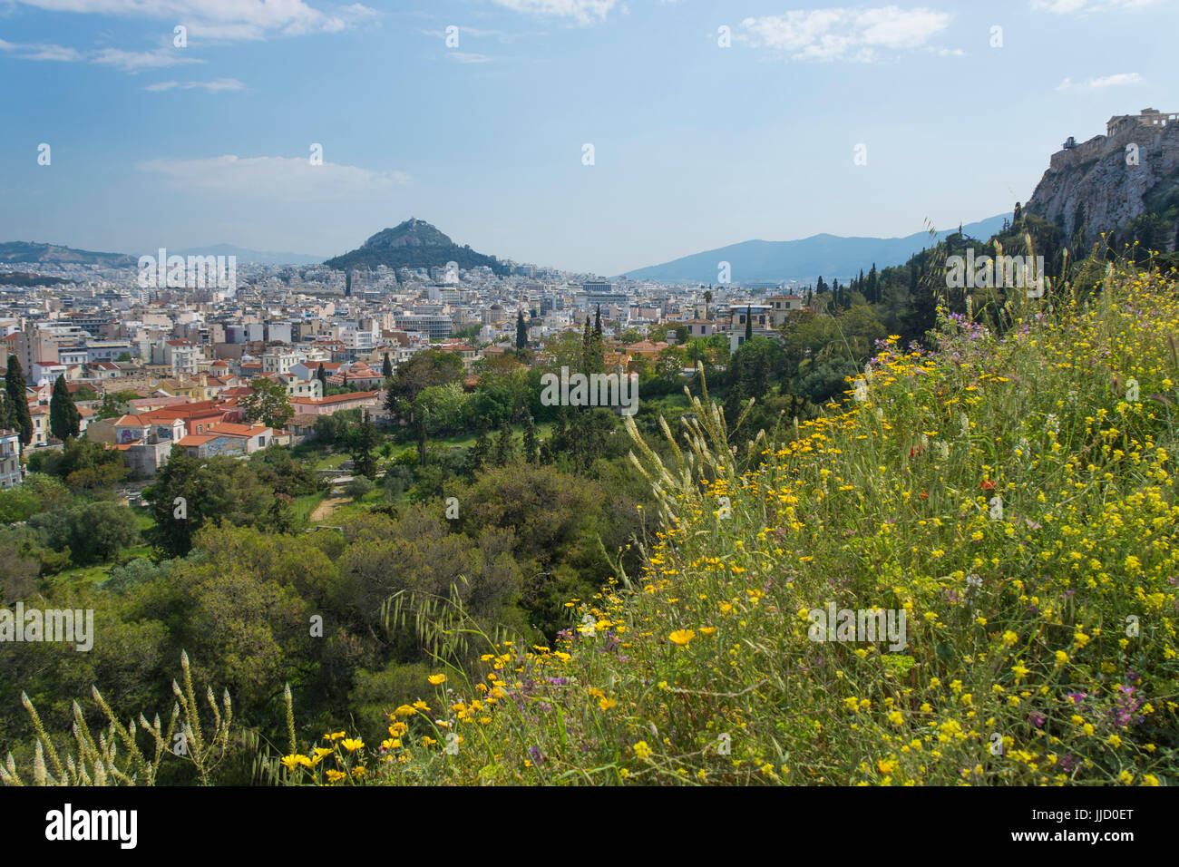 Spring flowers on the Acropolis, Athens, Greece Stock Photo - Alamy