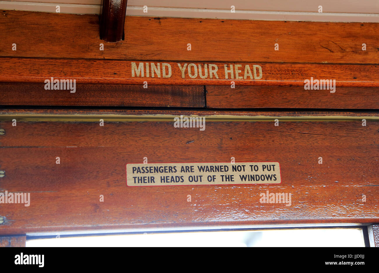 Mind Your Head Duck