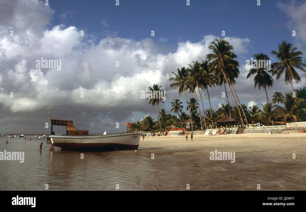 Island; Itamaraca; Pernambuco; Brazil Stock Photo - Alamy