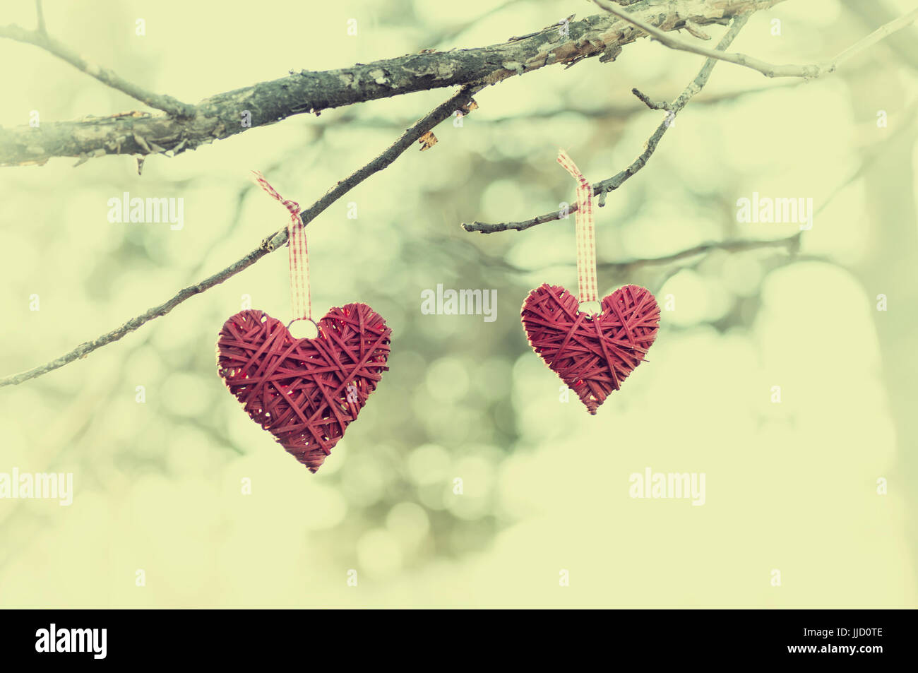 Two hearts on the branch of a tree, retro look Stock Photo - Alamy