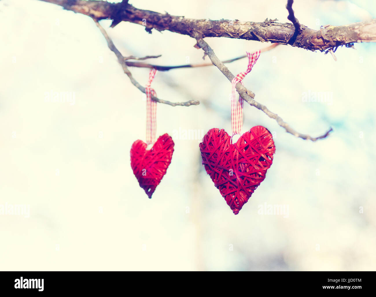 Two hearts on the branch of a tree, retro look Stock Photo - Alamy