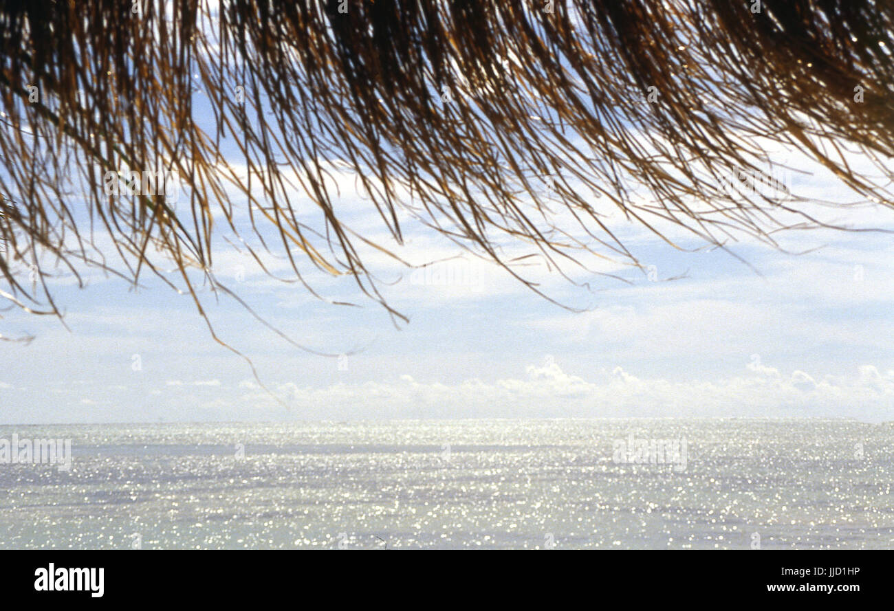 The island of itamaraca hi-res stock photography and images - Alamy