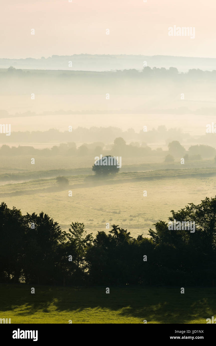 Misty at the Arun valley Stock Photo - Alamy