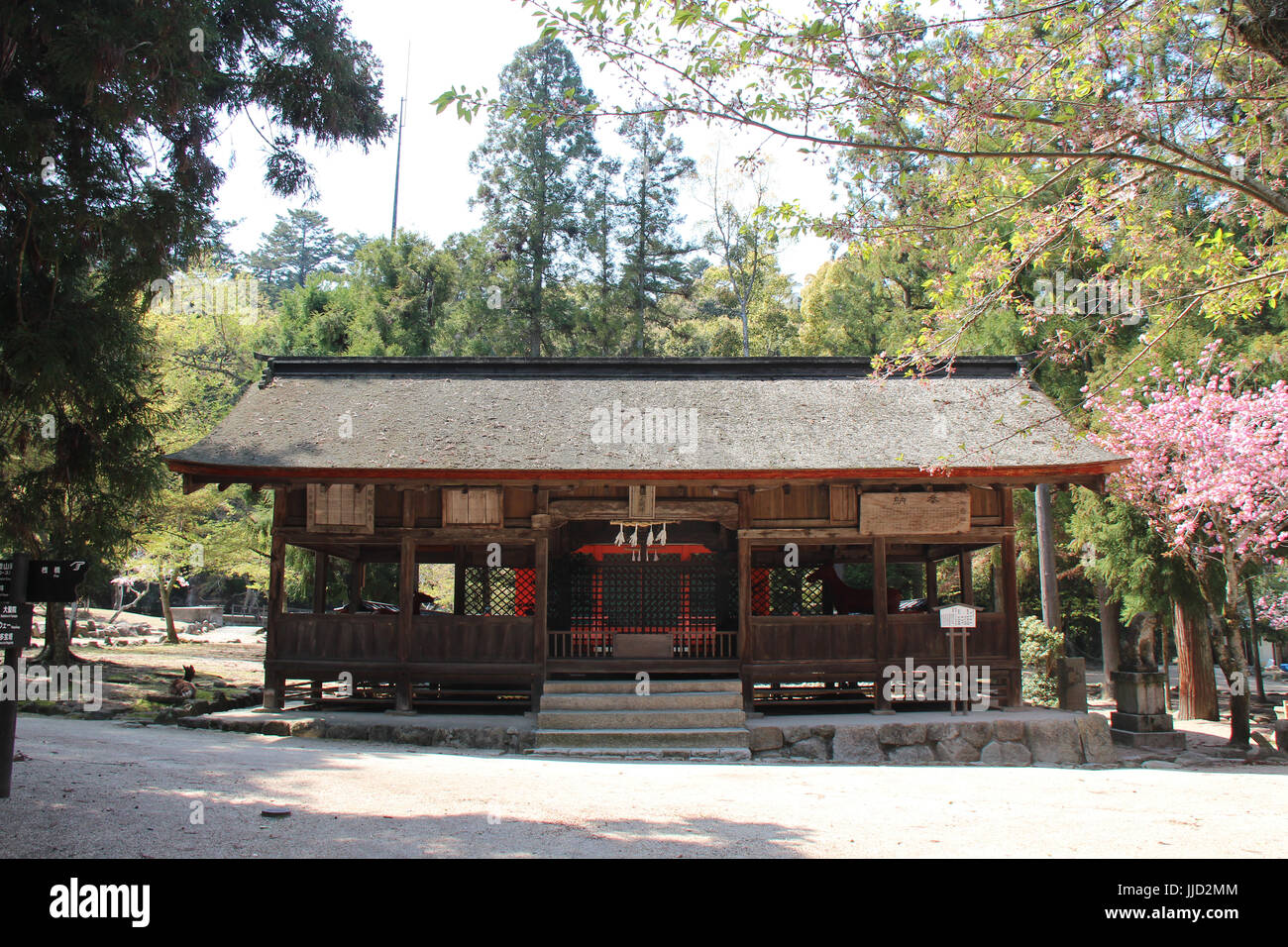 A shintoist temple (Omoto shrine) in Miyajima (Japan Stock Photo - Alamy
