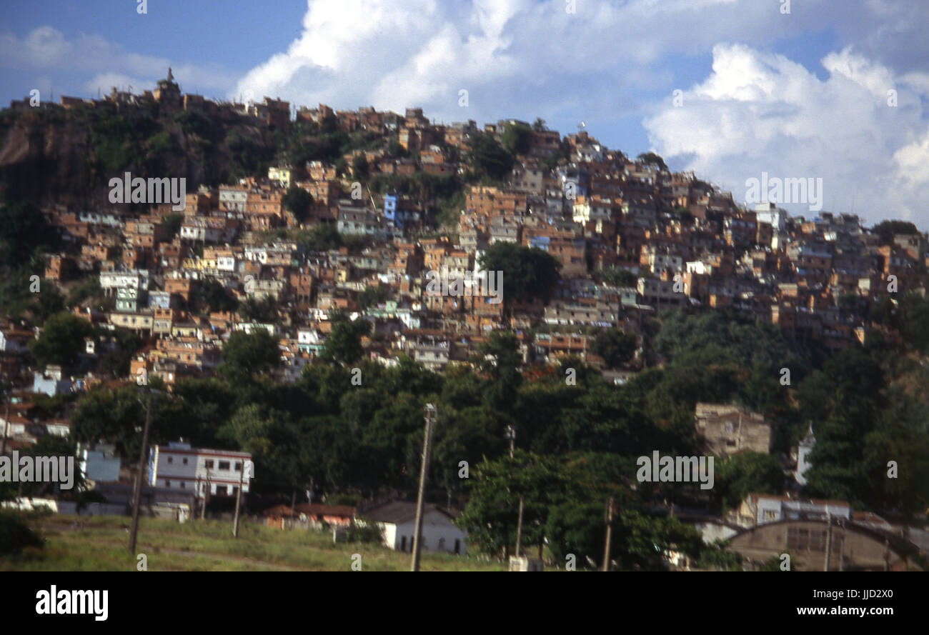 Favela rio trees hi-res stock photography and images - Alamy