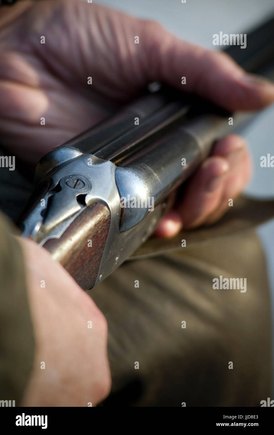old mans hands holding doubl barrelled shotgun Stock Photo - Alamy
