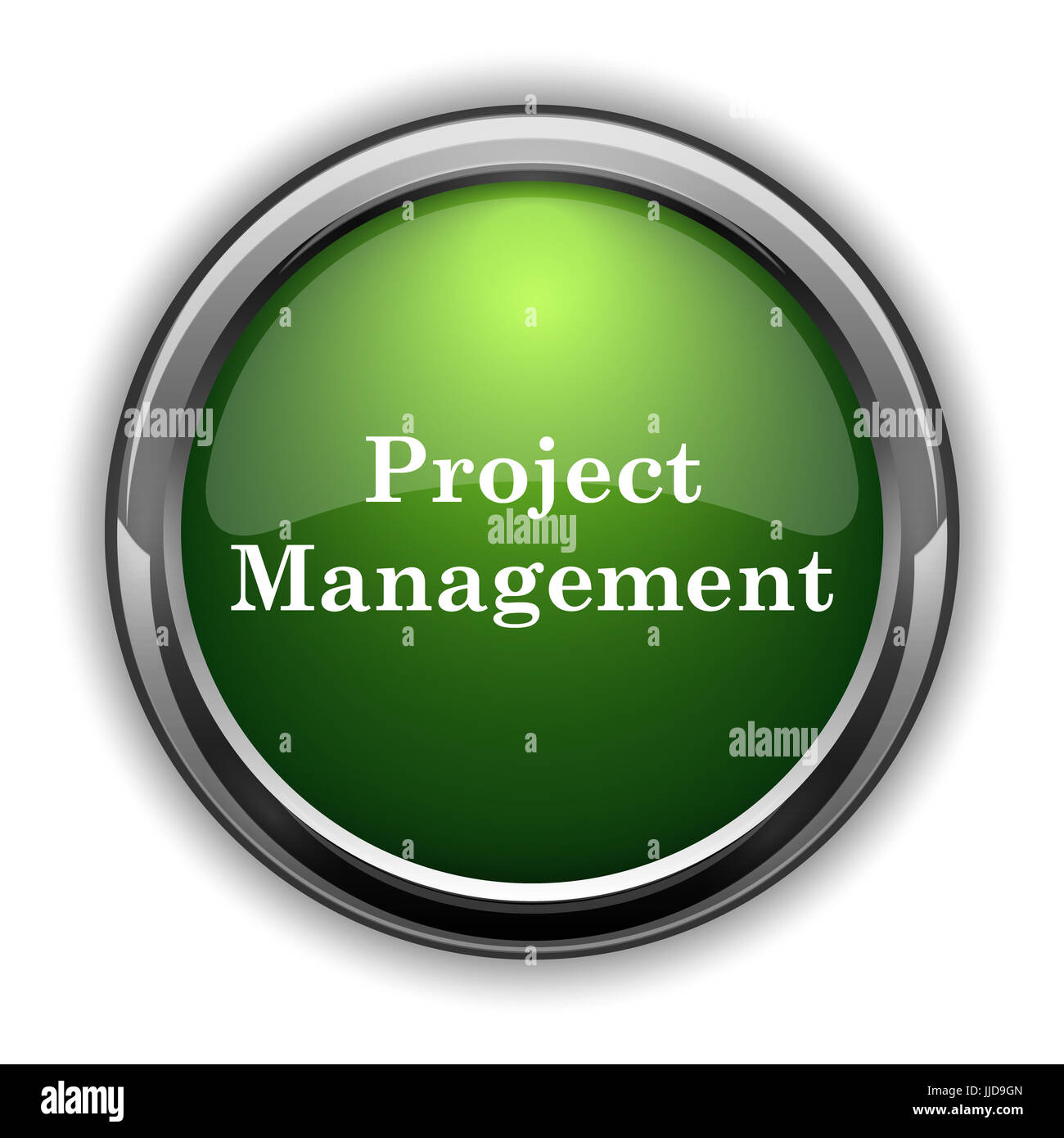 Project management icon. Project management website button on white ...