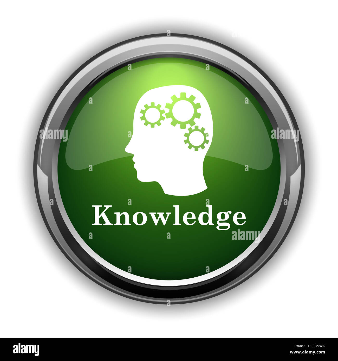 Knowledge icon. Knowledge website button on white background Stock ...