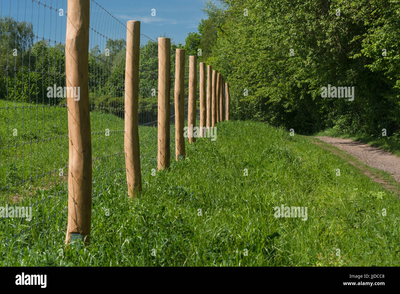Fence of a pasture for horses or cows Stock Photo - Alamy