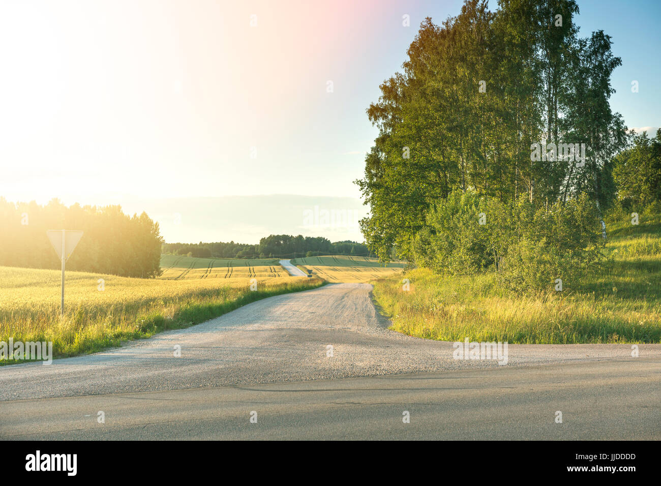 Road through meadow field forest hi-res stock photography and images ...
