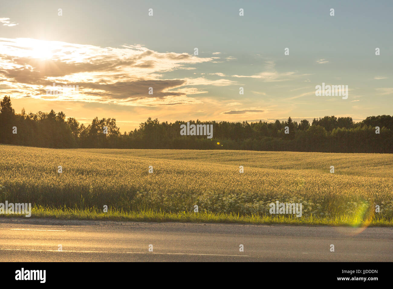 Country side landscape view over meadow Stock Photo - Alamy